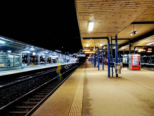 Flemingsbergs station